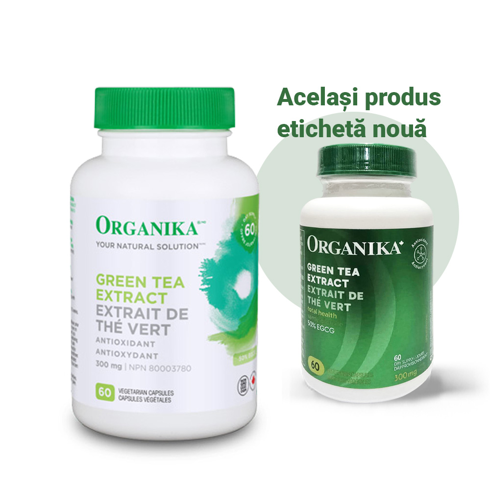 Green Tea Extract - Extract concentrat de ceai verde - provitafoods.ro